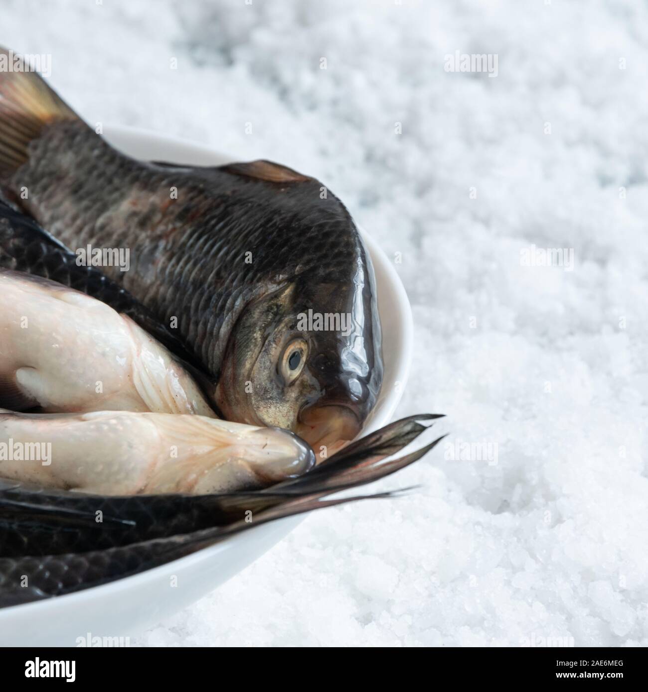 Raw fishes on salty background. Healthy eating ingredient Stock Photo ...