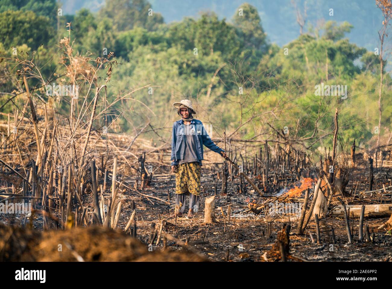 Local people slash and burn forest, Laos, Asia Stock Photo - Alamy