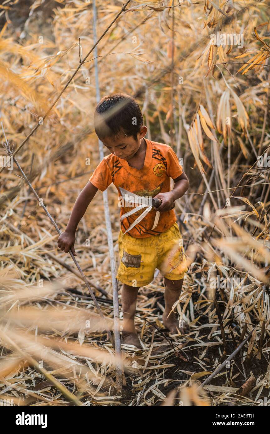Slash and burn agriculture laos hi-res stock photography and images - Alamy