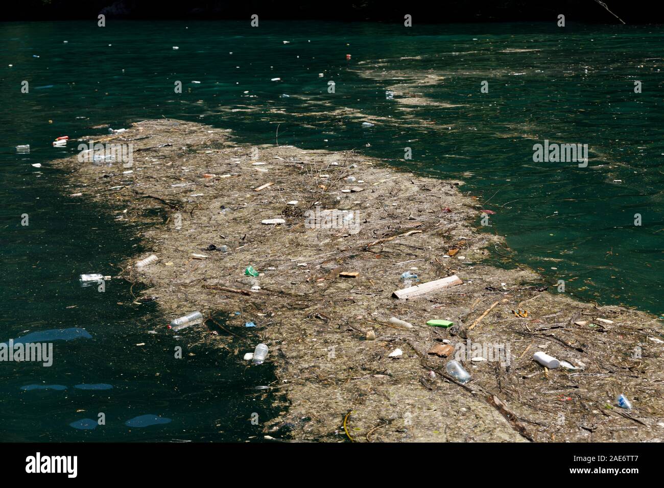 Pollution with empty PET bottles on the komani lake in Albania Stock ...