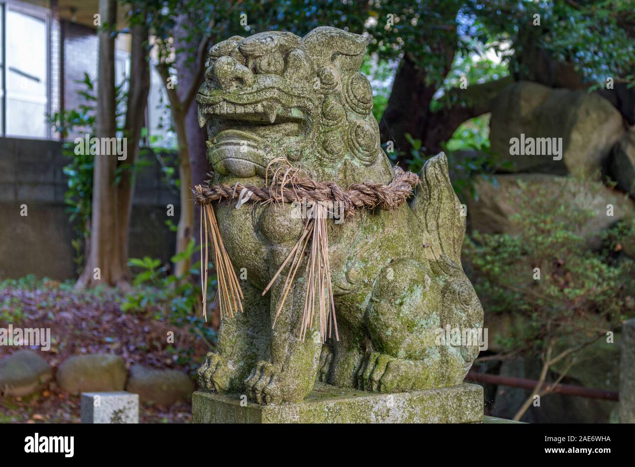 Lion-dog, or komainu, at a Shinto shrine in Kanazawa, Ishikawa ...