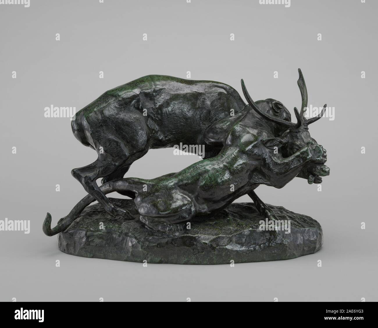 Bronze sculpture showing a panther attacking a stag, depicting animal ...
