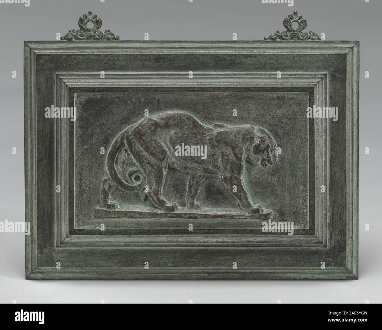 Depicts a panther showing muscular body, posture, paws, head, facial ...