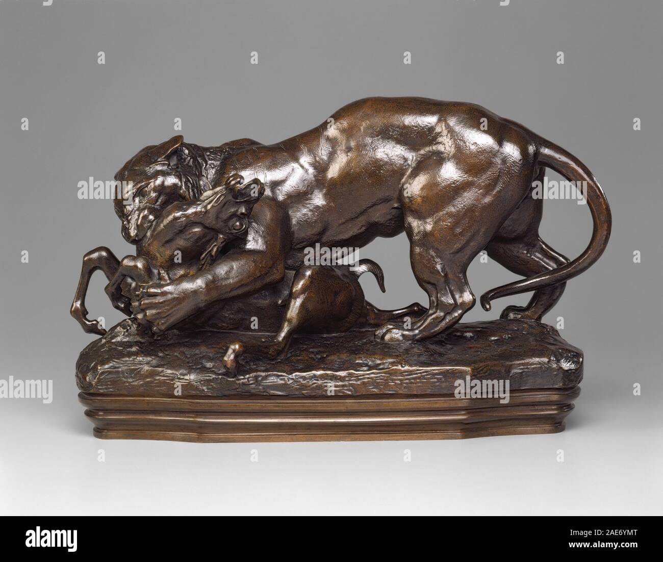 Bronze sculpture of a tiger surprising an antelope showing animal ...