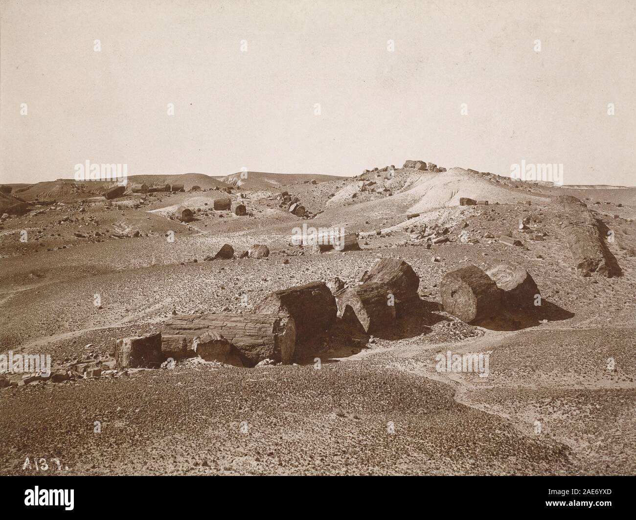 Ac vroman hi-res stock photography and images - Alamy