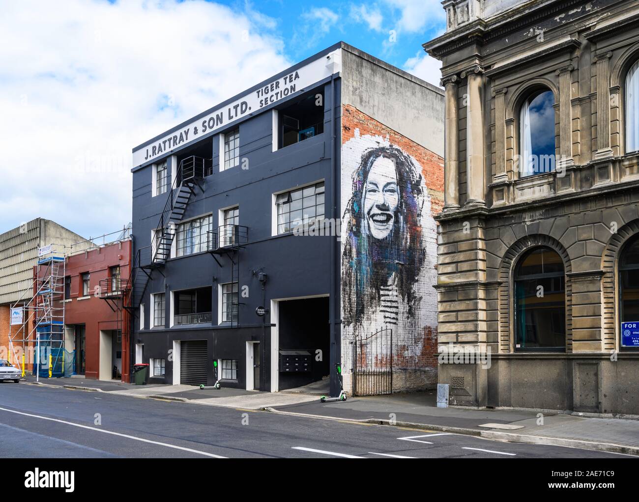 Mural portrait by Dunedin artist and designer Jon Thom. Vogel Street ...