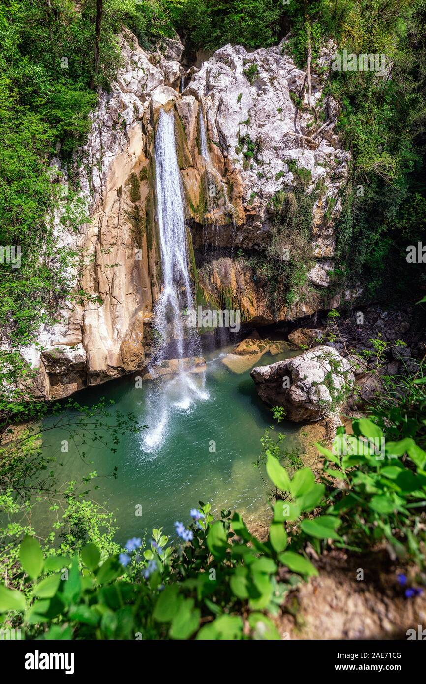 Waterfall in a green spring forest surrounded by stones, clear ...