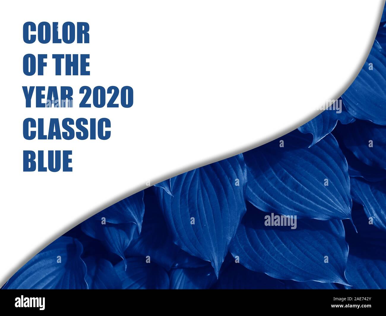 Classic Blue - Color of Year 2020. Modern trendy color Stock Photo - Alamy