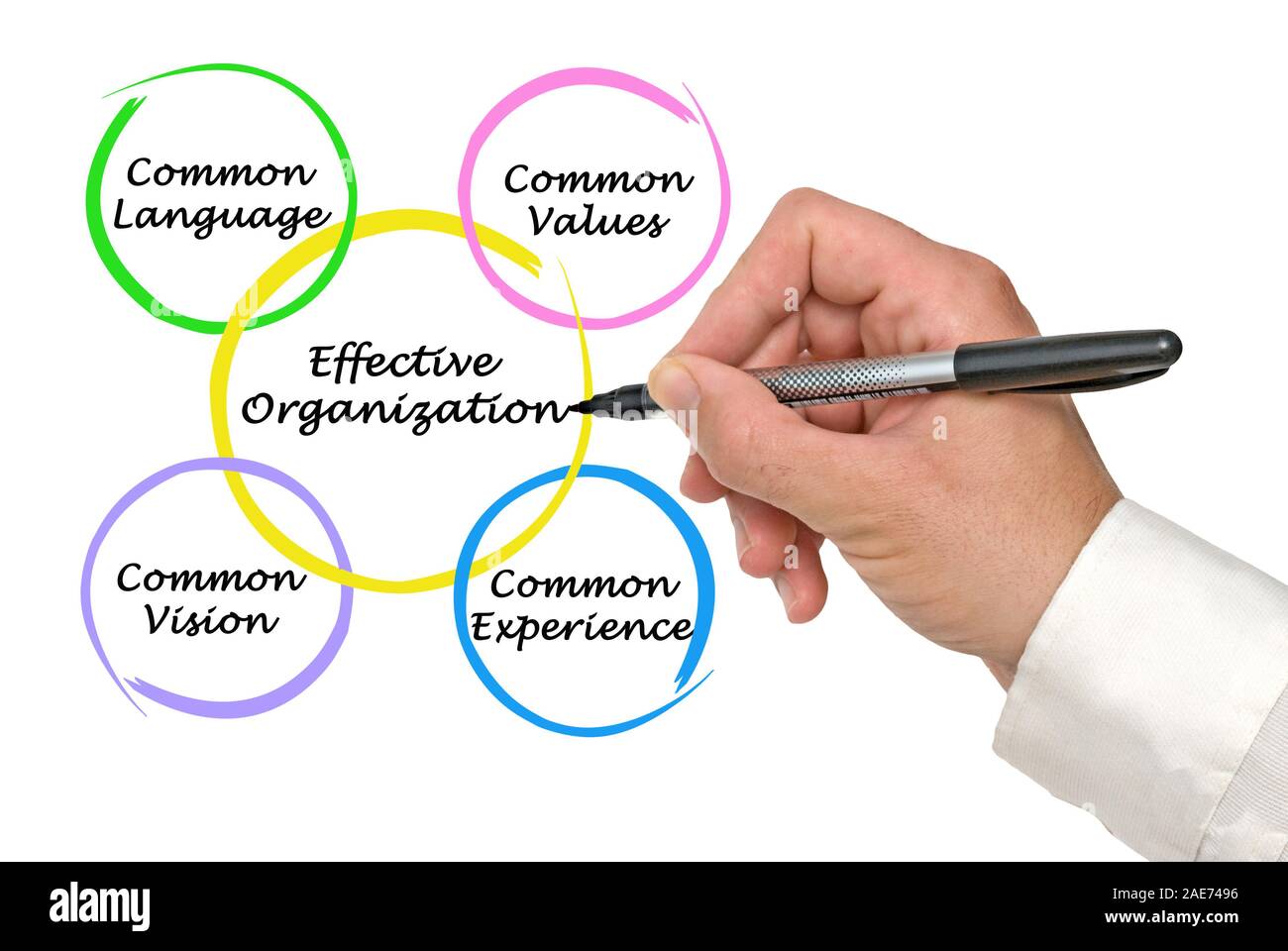 Diagram of Effective Organizations Stock Photo - Alamy