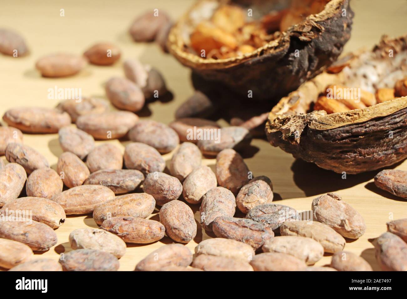 Cocoa pod cut hi-res stock photography and images - Alamy
