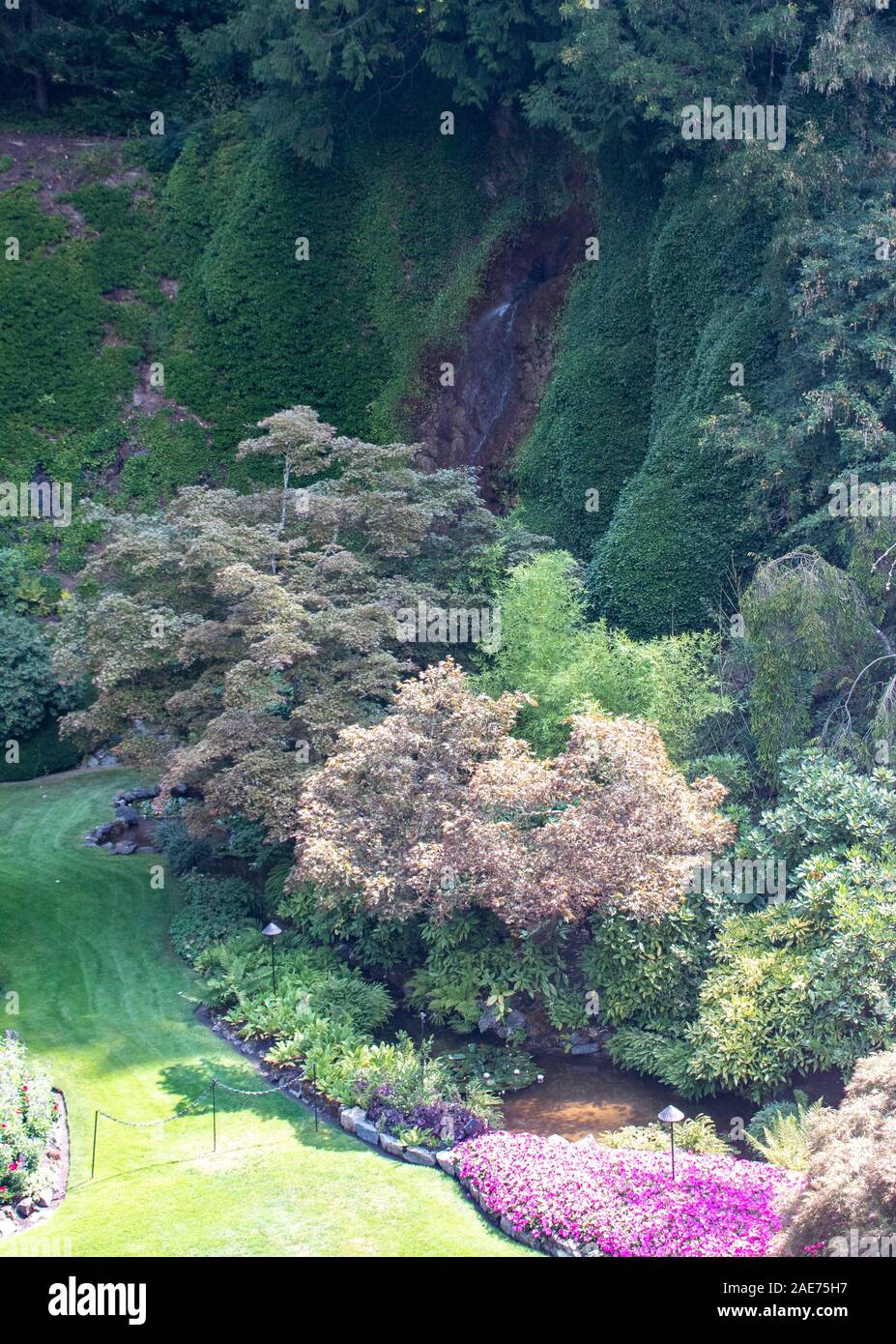 Foliage and trees Butchart Gardens Victoria Vancouver Island Canada ...