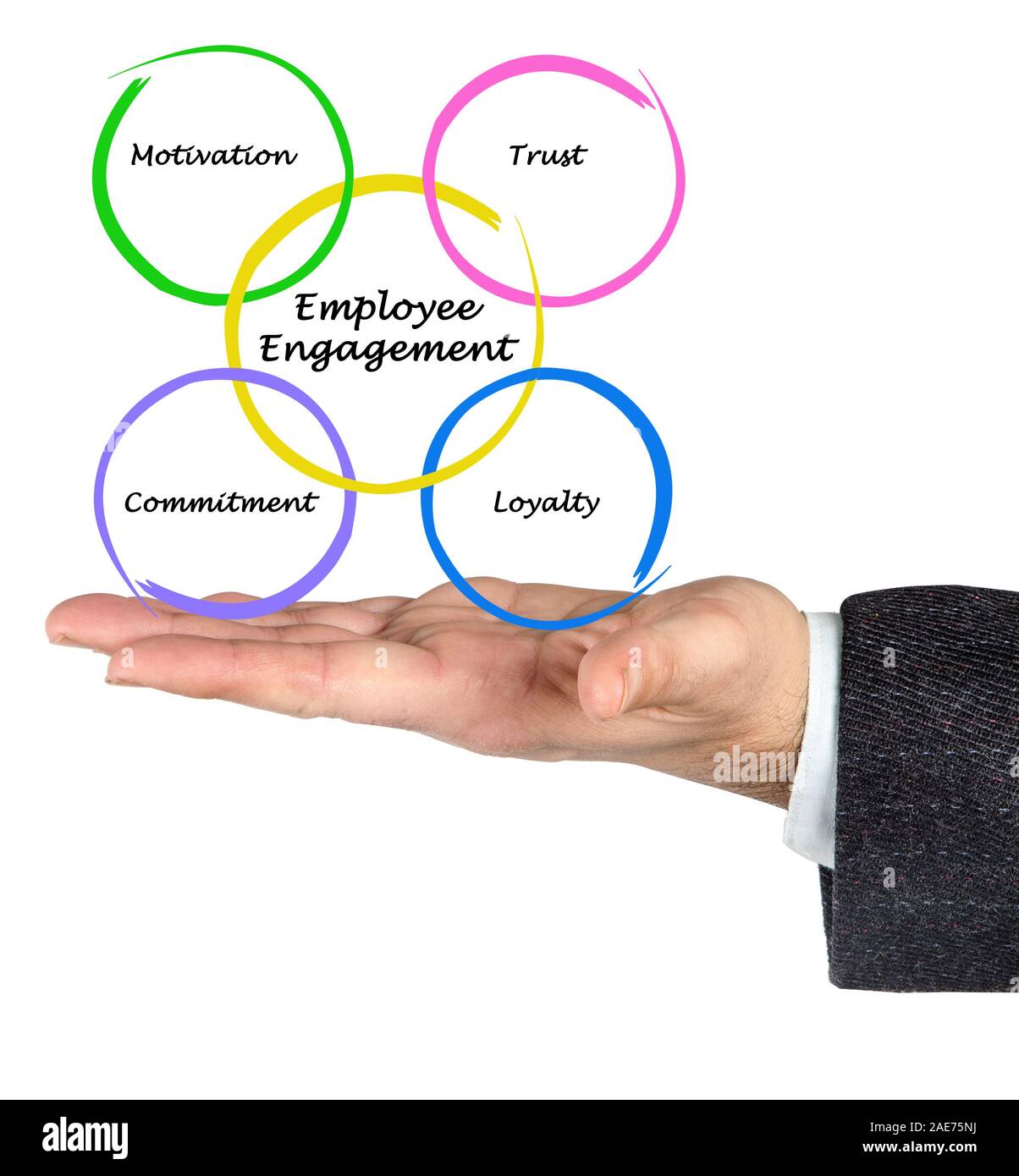 Employee trust Cut Out Stock Images & Pictures - Alamy