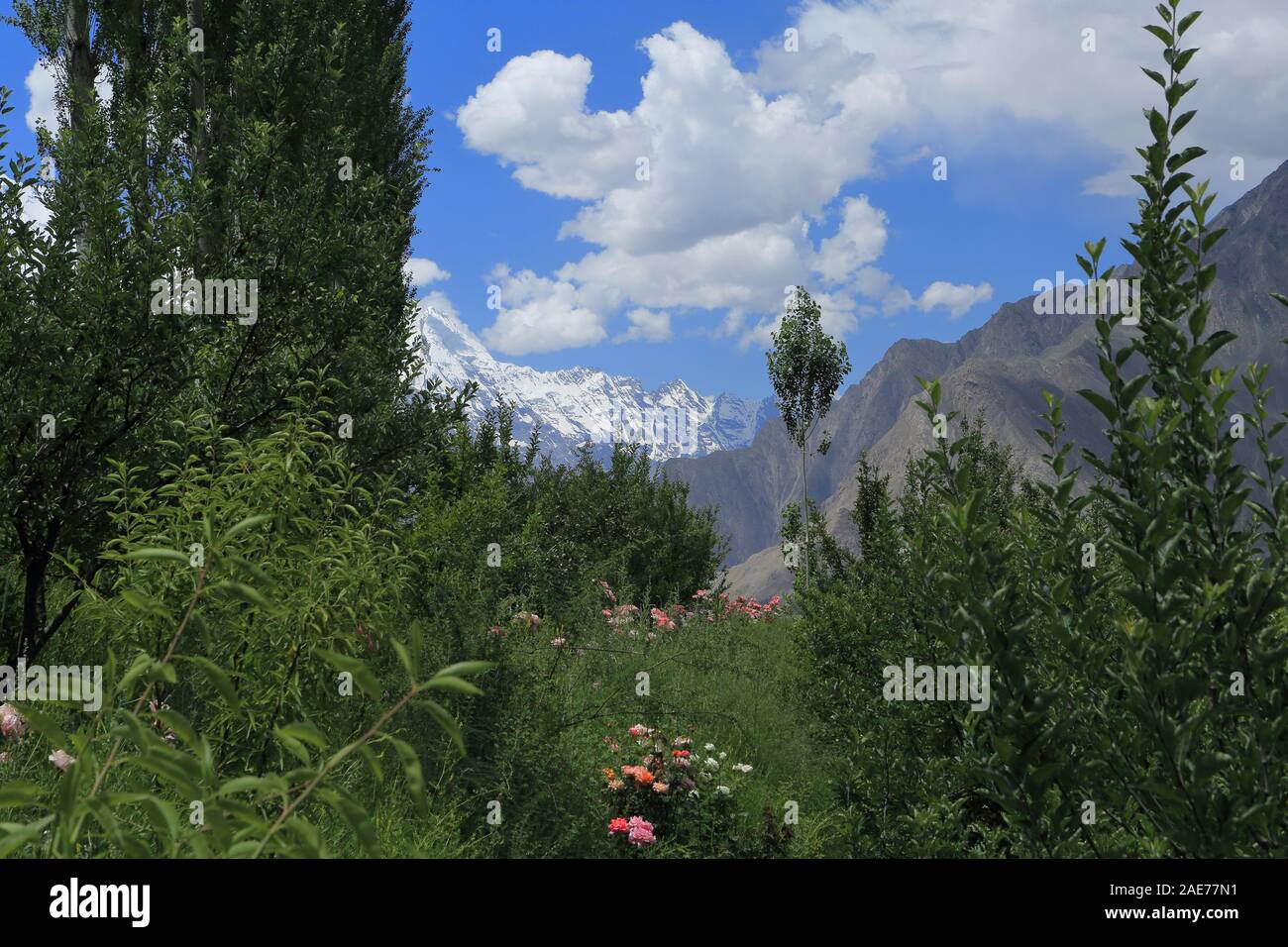 Hunza Valley, Gilgit Baltistan, Pakistan Stock Photo - Alamy