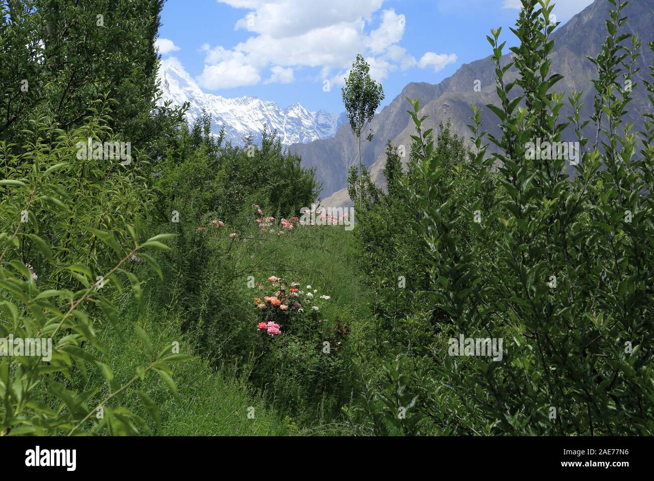 Hunza Valley, Gilgit Baltistan, Pakistan Stock Photo - Alamy