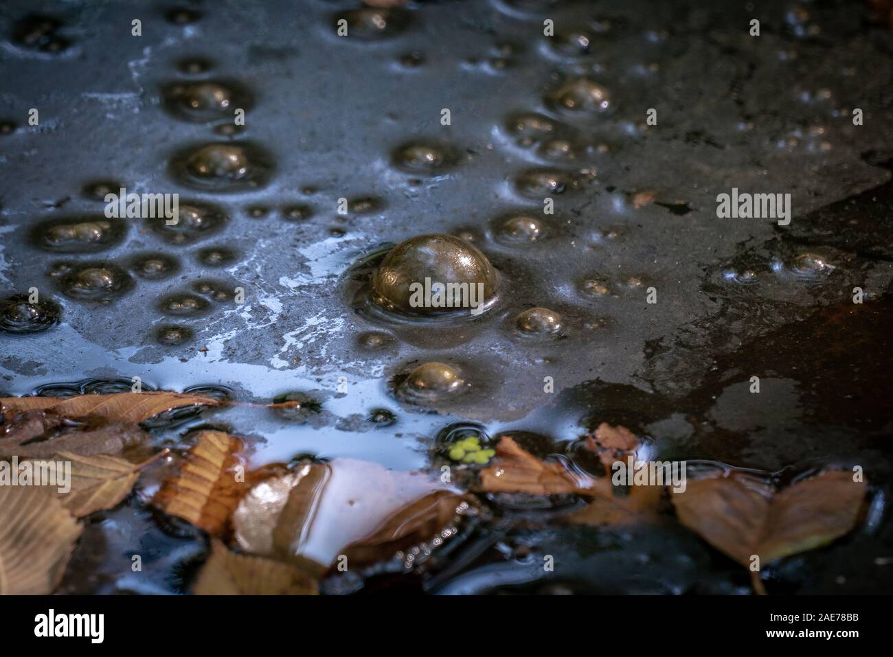 Swamp gases hi-res stock photography and images - Alamy