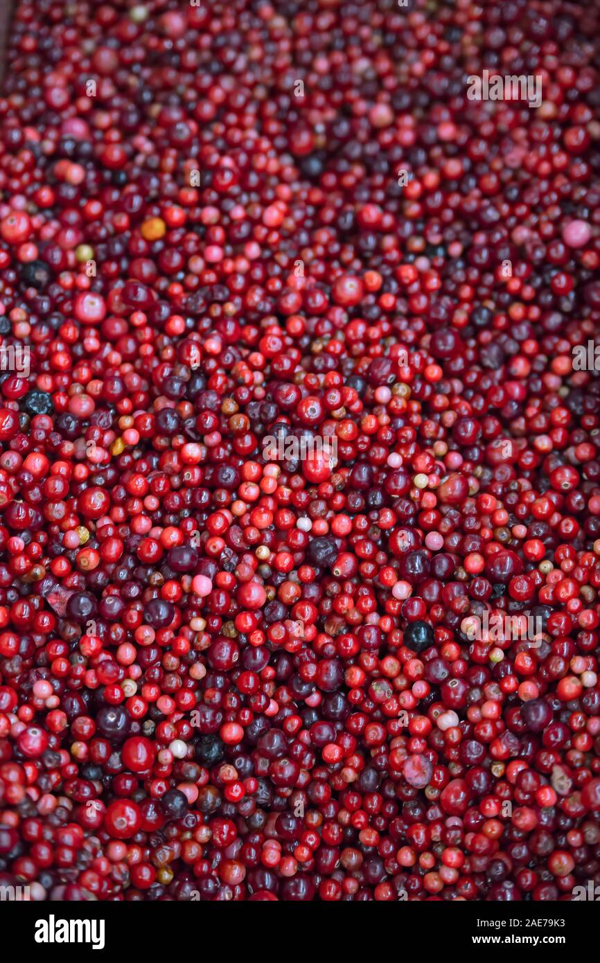 Frozen berries in grocery store shot close-up, blurred background ...