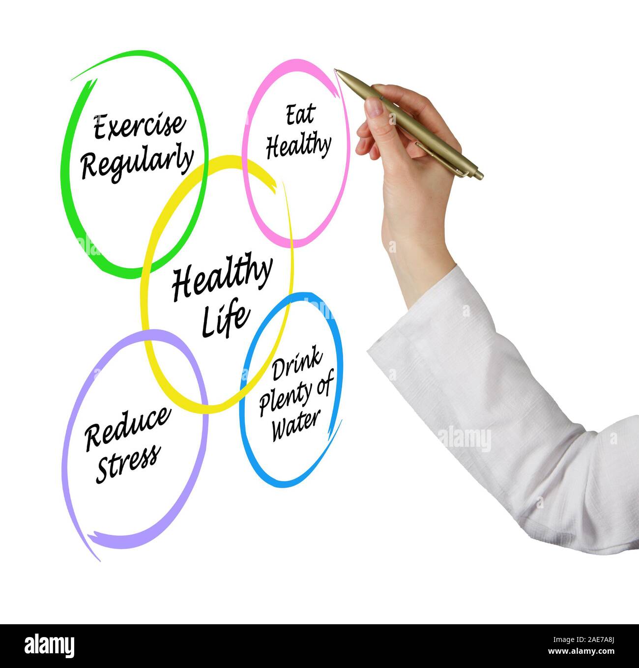 Diagram of healthy life Stock Photo - Alamy
