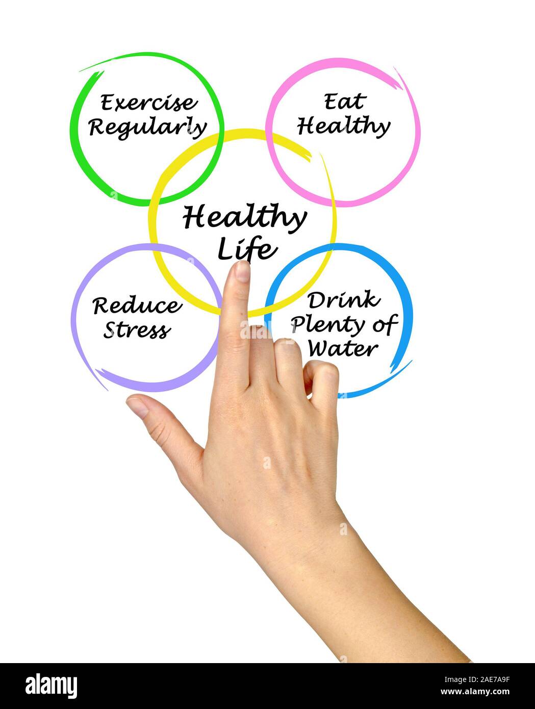Diagram of healthy life Stock Photo - Alamy
