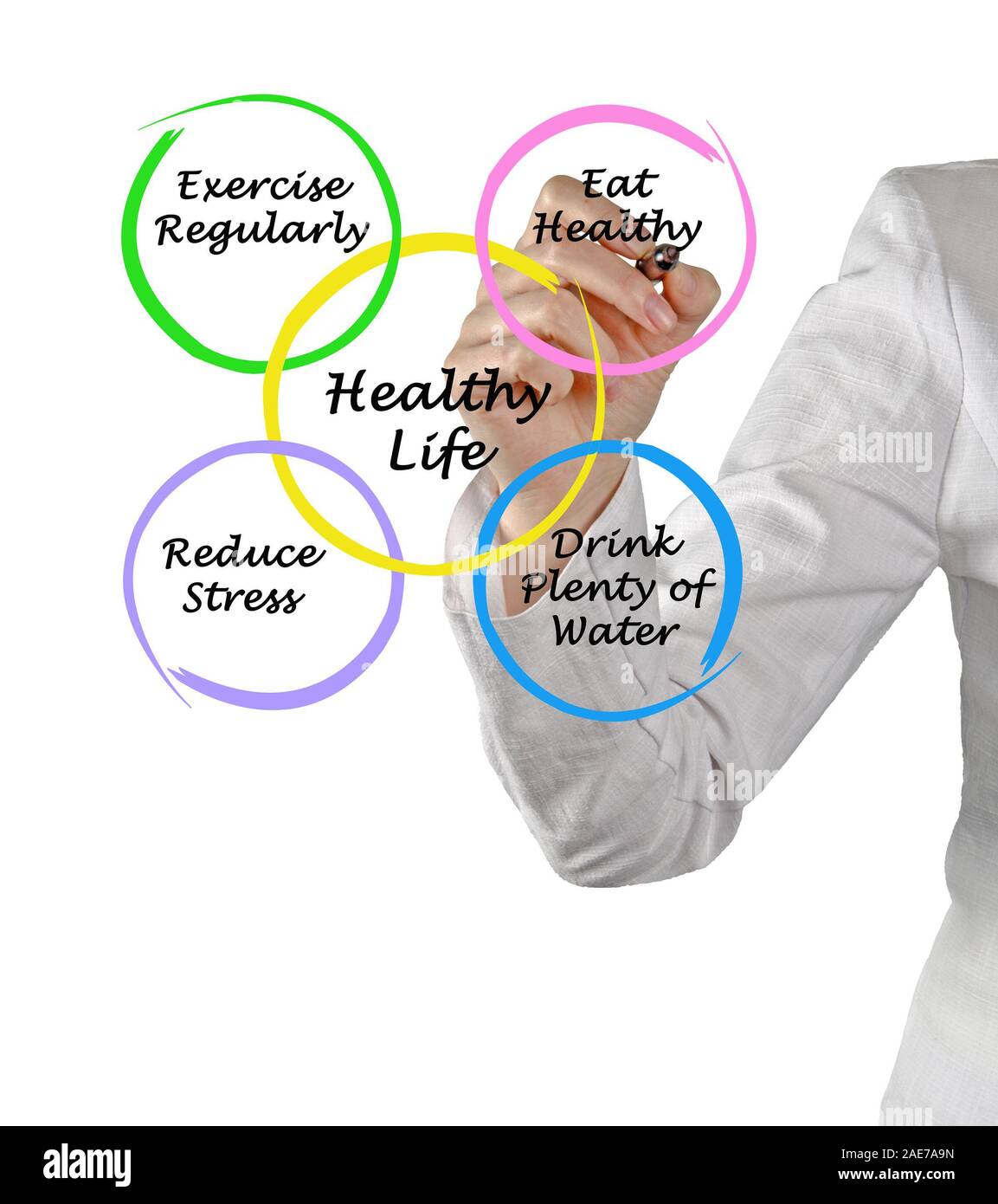 Diagram of healthy life Stock Photo - Alamy
