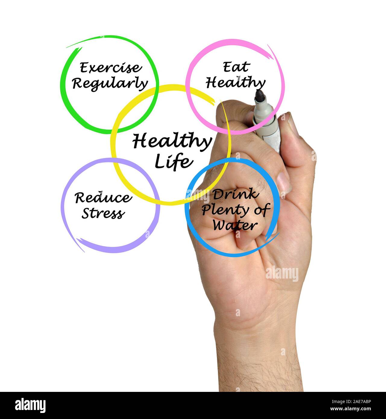 Diagram of healthy life Stock Photo - Alamy