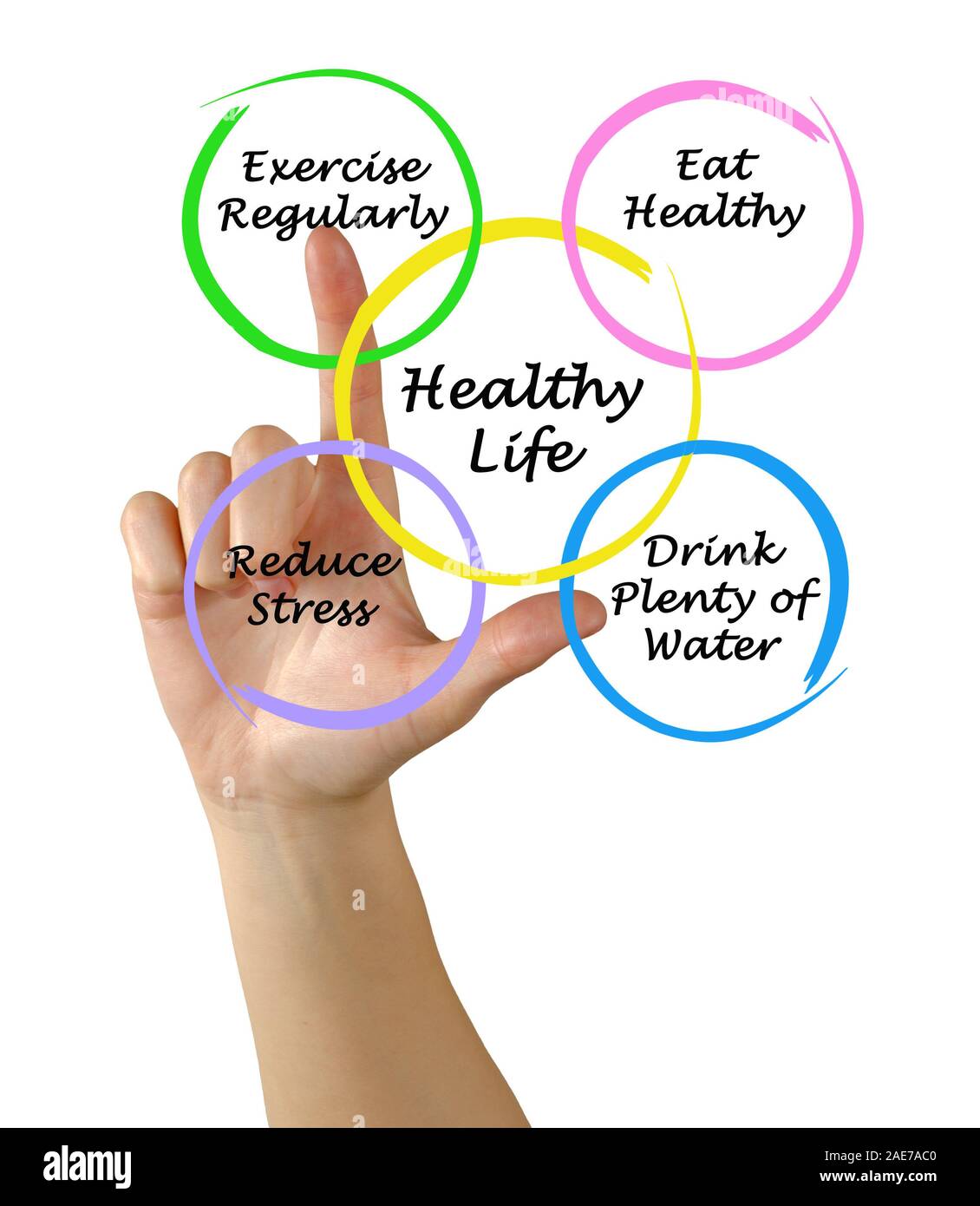 Diagram of healthy life Stock Photo - Alamy