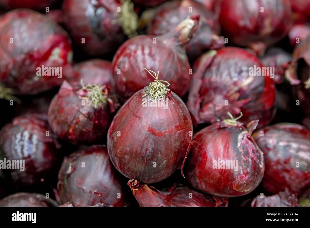 Seasonal vegetables are stacked in boxes at the grocery store. Red ...
