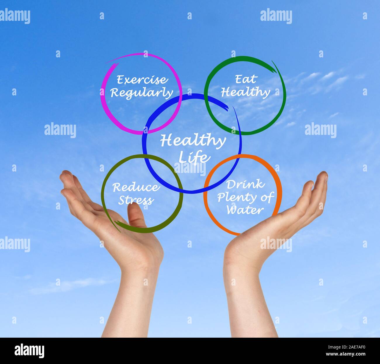 Diagram of healthy life Stock Photo - Alamy