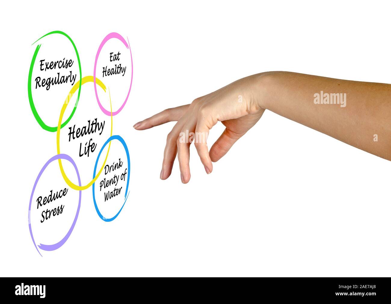 Diagram of healthy life Stock Photo - Alamy