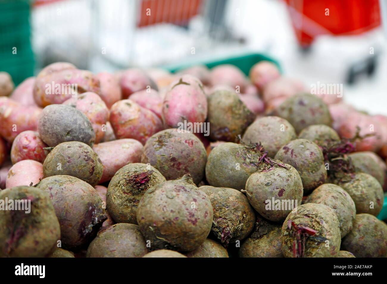Seasonal vegetables are stacked in boxes at the grocery store. Close-up ...