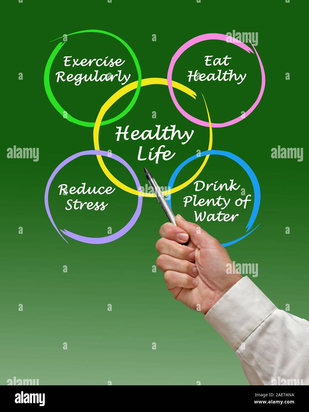 Diagram of healthy life Stock Photo - Alamy