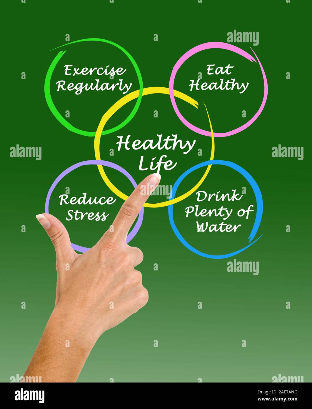 Diagram of healthy life Stock Photo - Alamy
