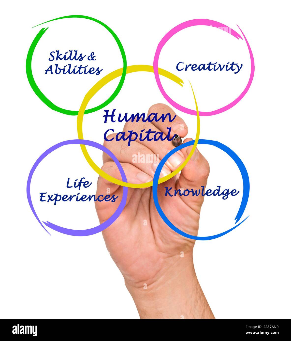 Human Capital Resource Employee High Resolution Stock Photography and ...