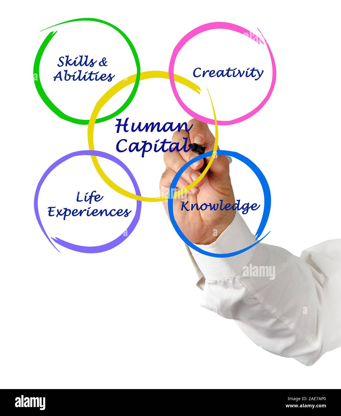 Human capital resource employee Cut Out Stock Images & Pictures - Alamy