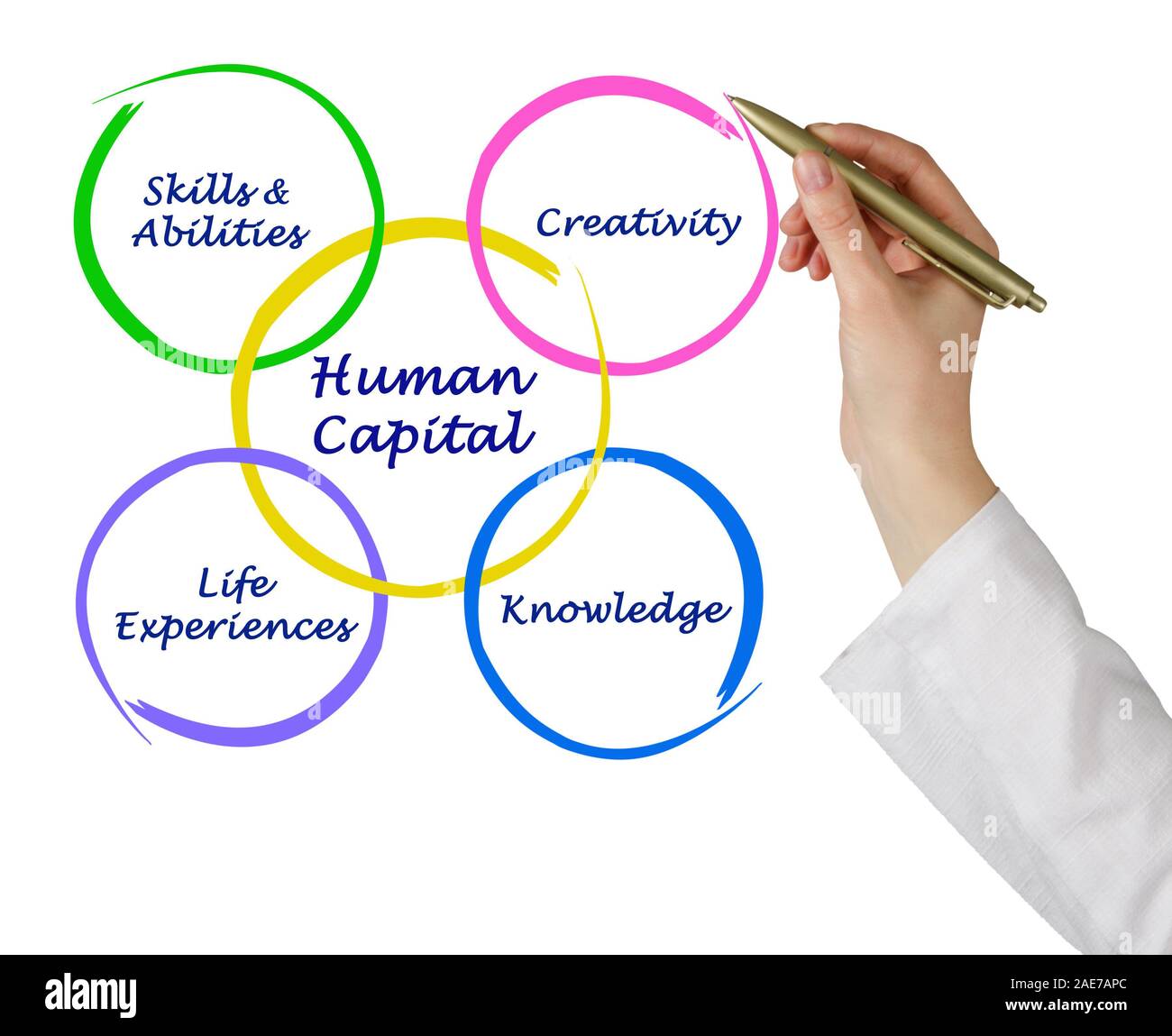 Human capital resource employee hi-res stock photography and images - Alamy