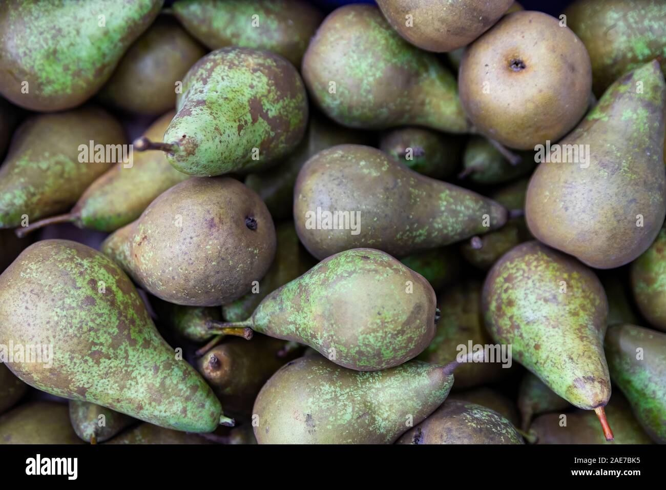 Seasonal fruits are placed in boxes in the grocery store. Close-up of ...