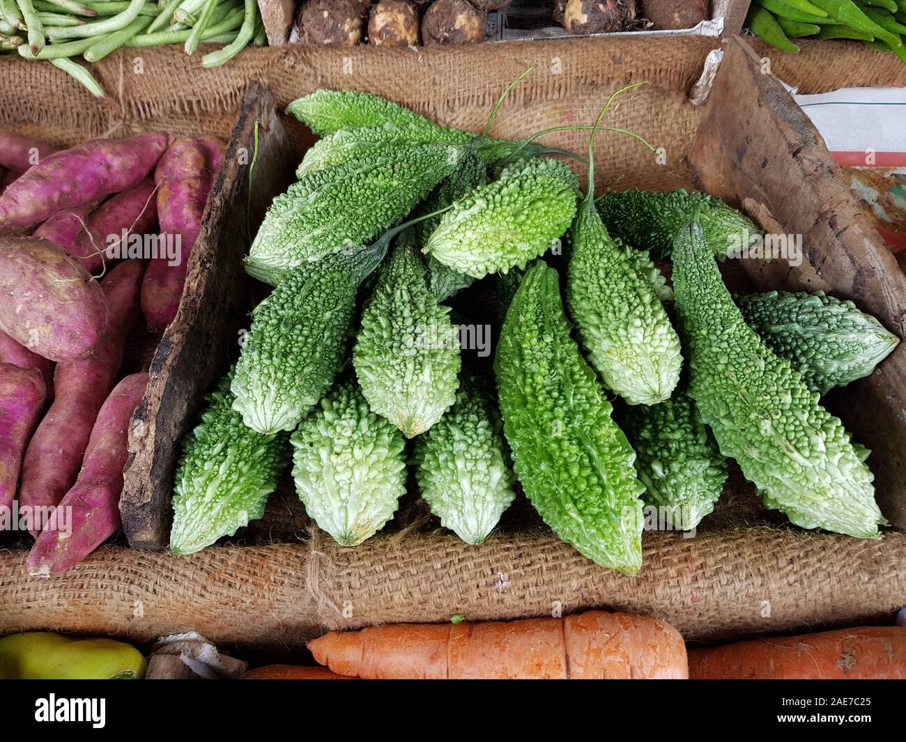 Momordica charantia is popular fruit, growing in Asia, Africa, and the ...