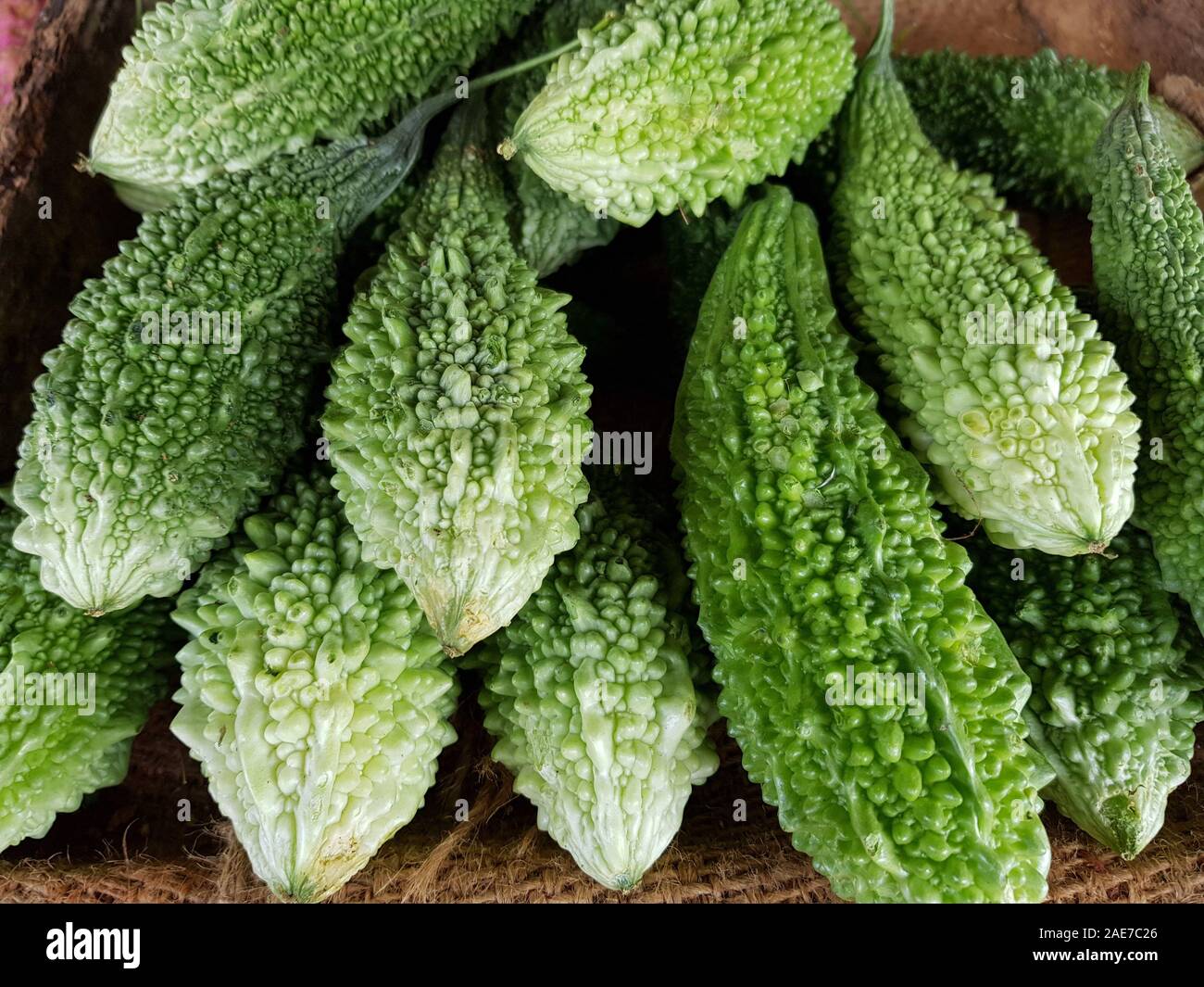 Momordica charantia is popular fruit, growing in Asia, Africa, and the ...