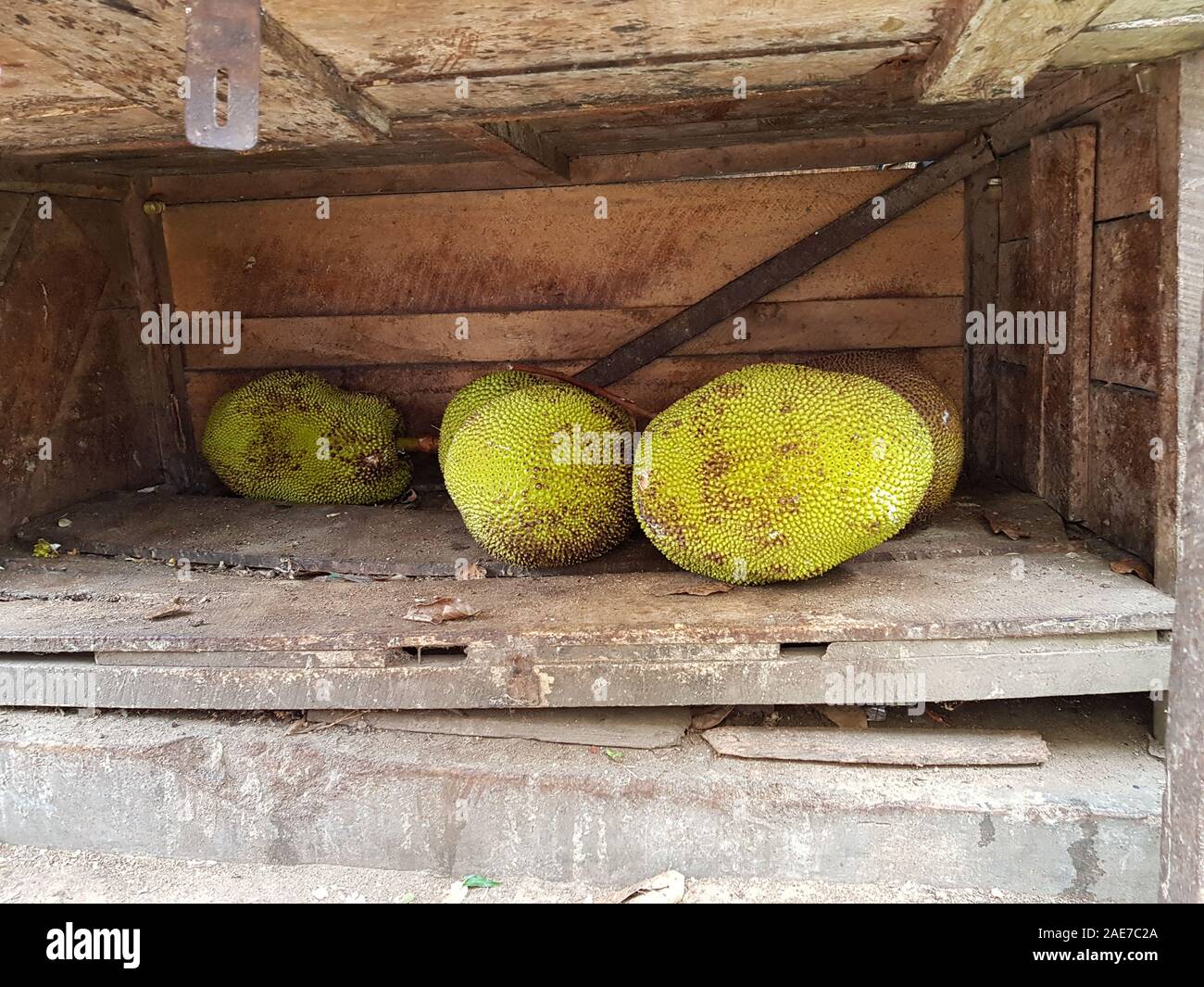 Jackfruit Wood Box