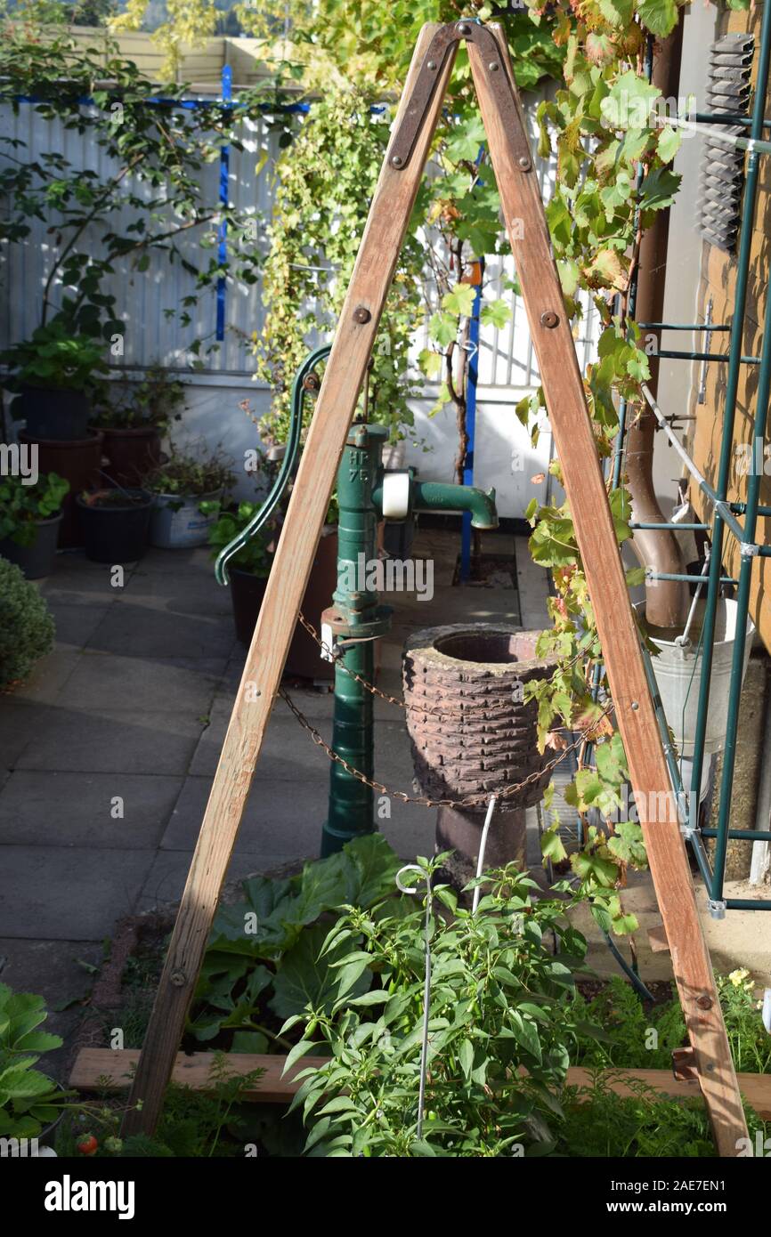 ladder in summer garden Stock Photo - Alamy