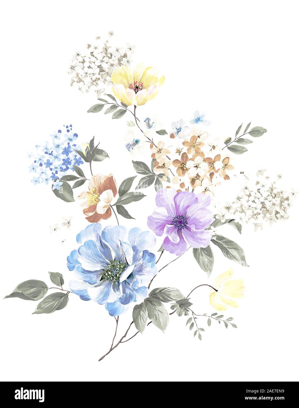Watercolor flowers illustration Stock Photo - Alamy