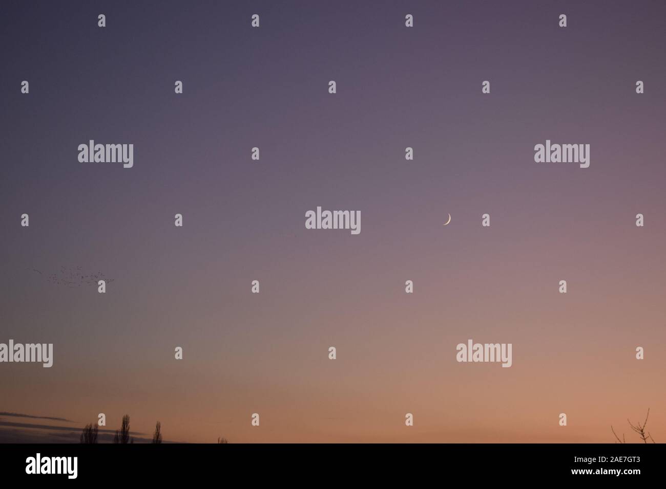 thin moon in purple sky Stock Photo - Alamy