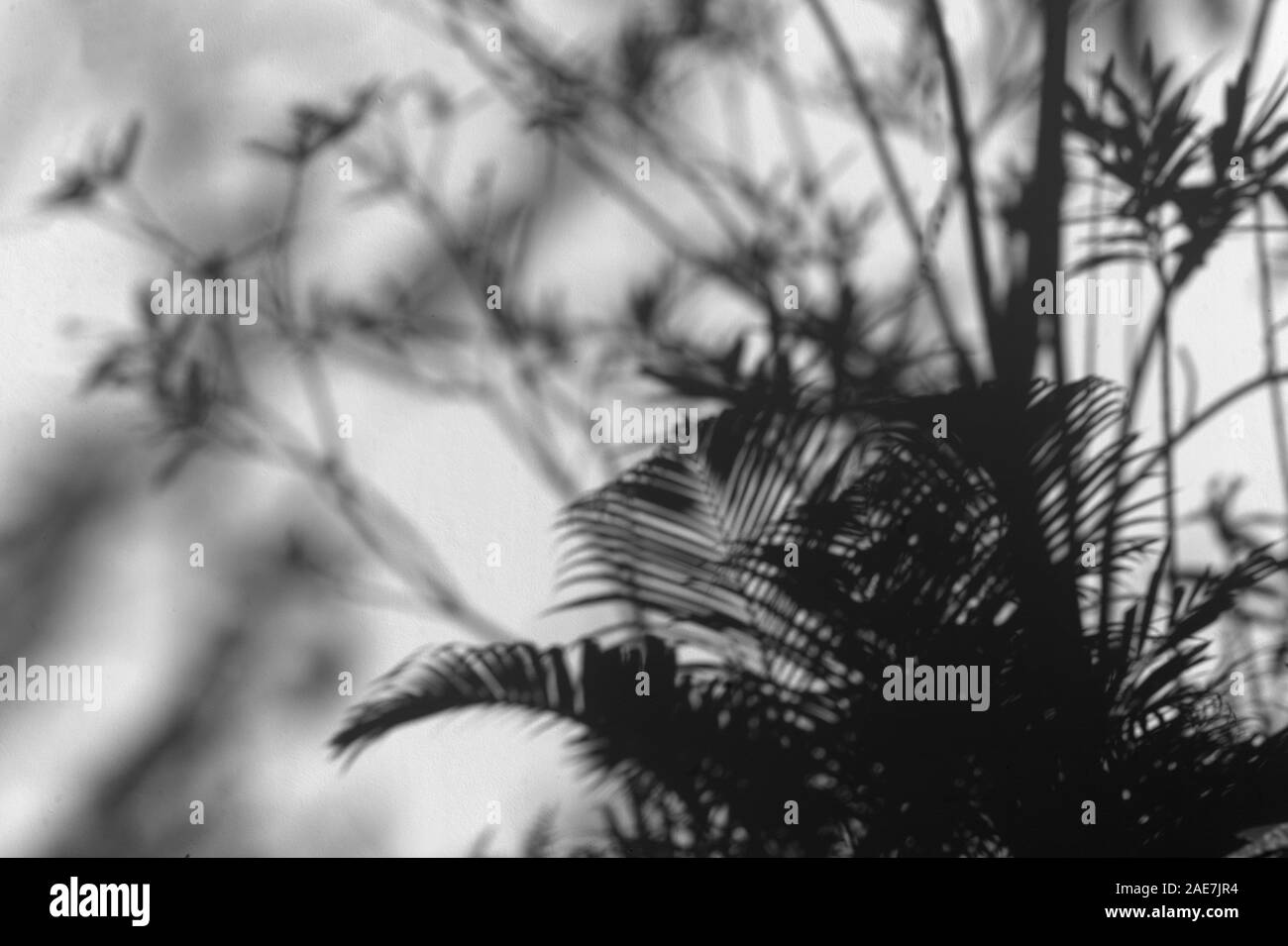 Abstract shadows on white hi-res stock photography and images - Alamy