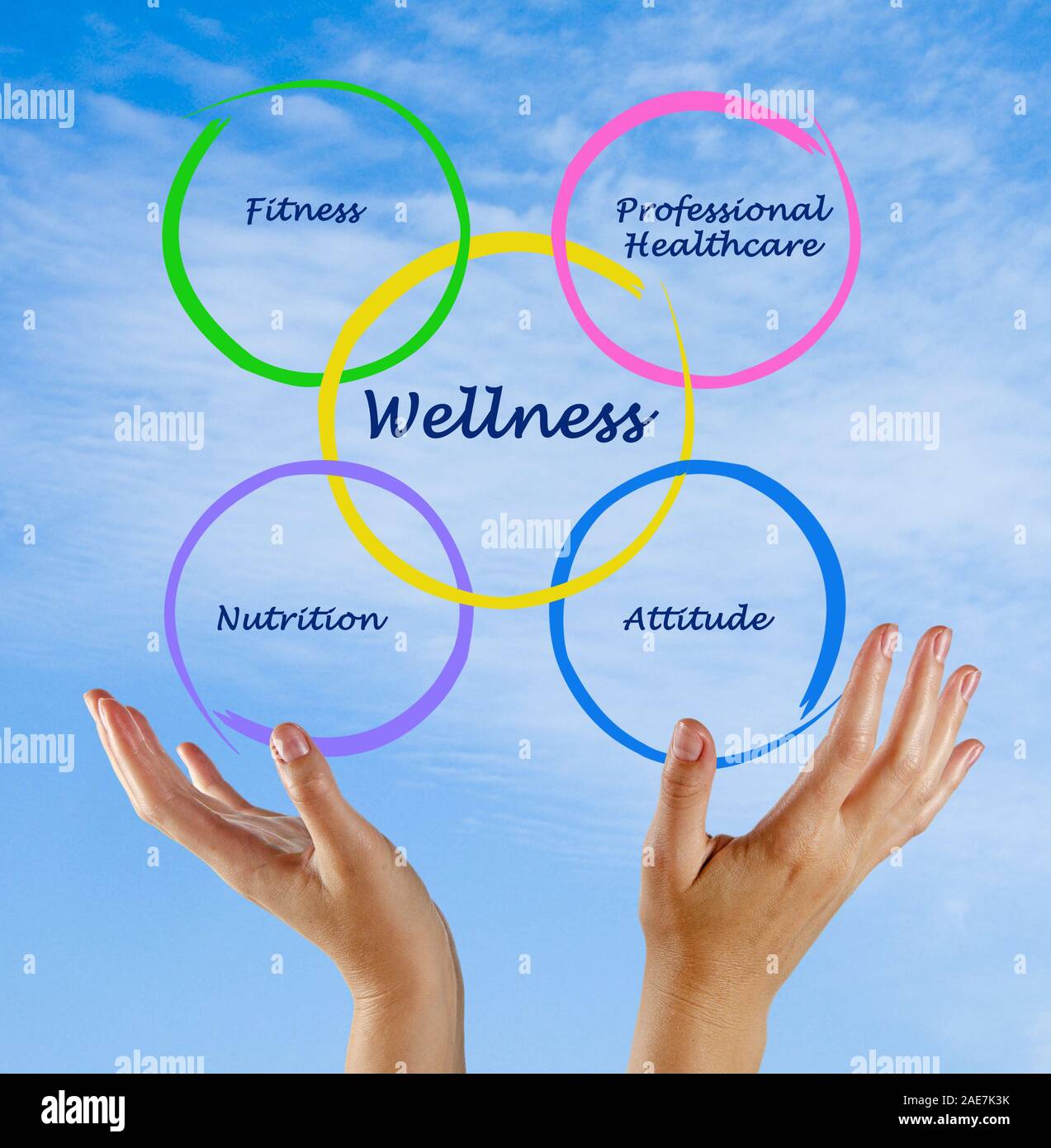 Wellness diagram hi-res stock photography and images - Alamy