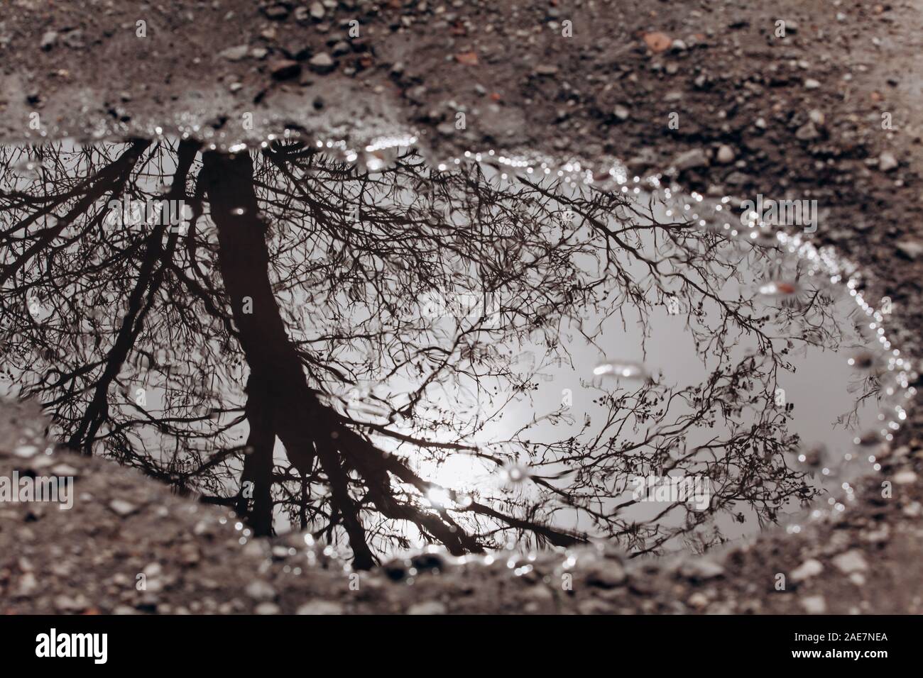 Big pothole filled with water, tree and clouds reflection Stock Photo ...