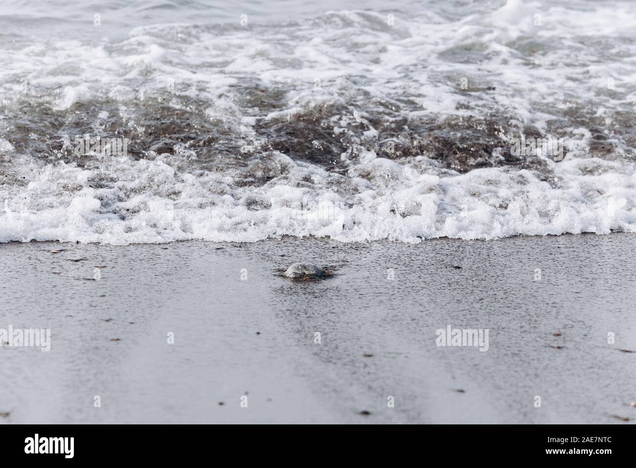 Waves on the beach. A surge of water ashore Stock Photo - Alamy