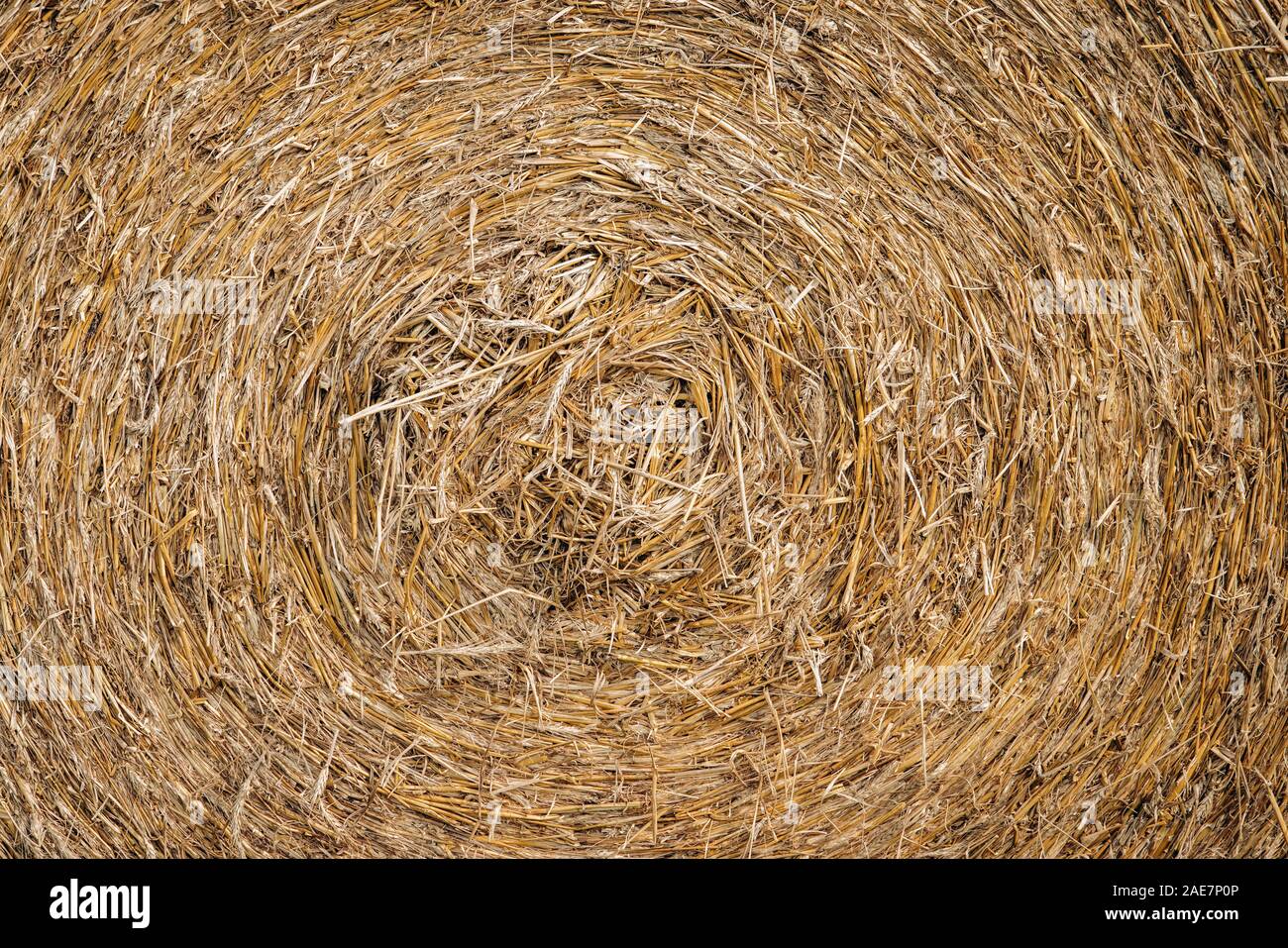 Field pattern agriculture haystack hi-res stock photography and images ...