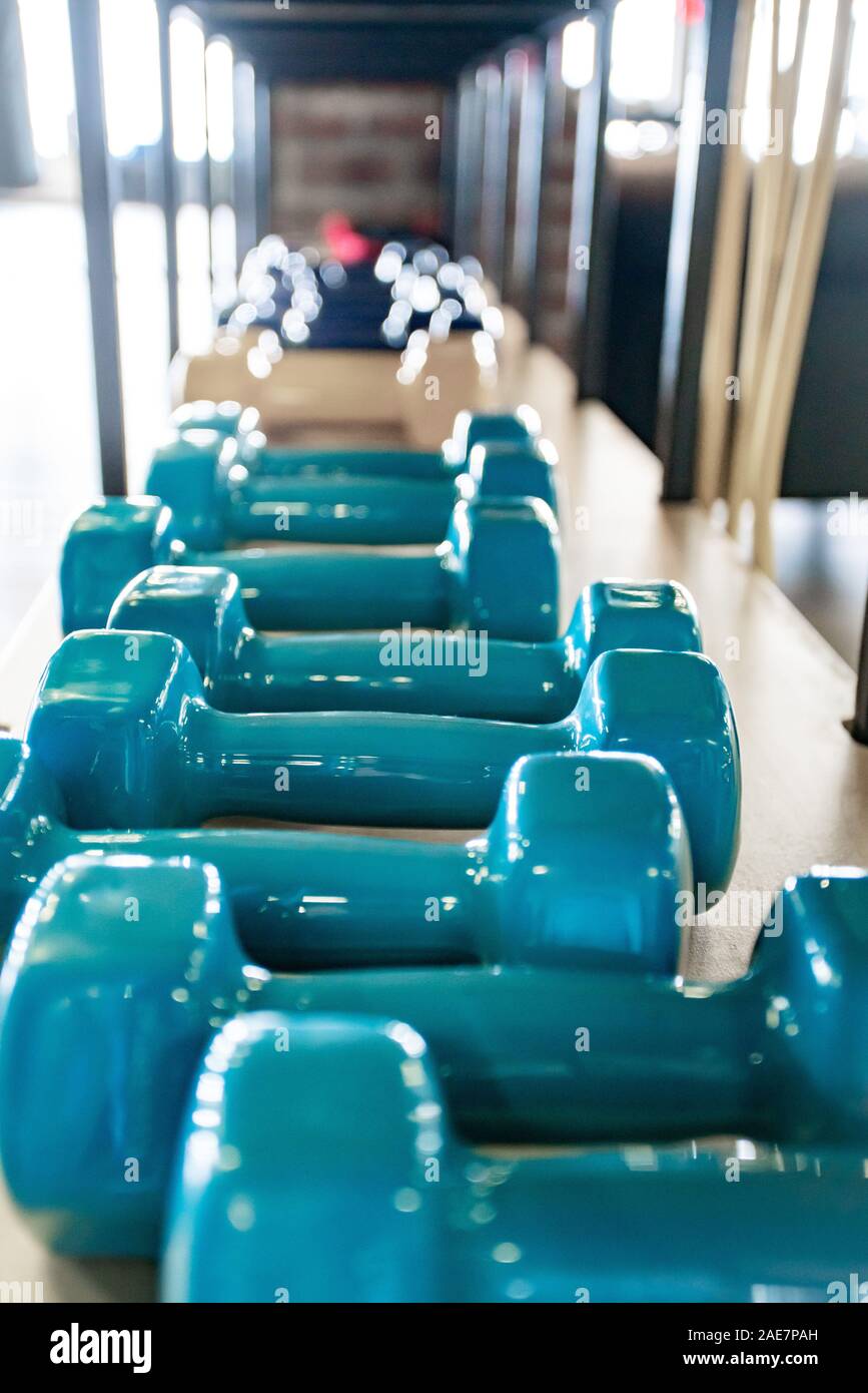 Light blue dumbbells lie on the shelf of the fitness room Stock Photo ...
