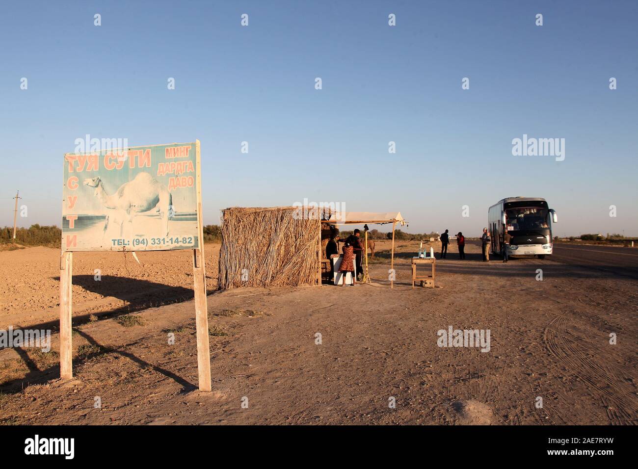 Roadside camel milk stall in Uzbekistan Stock Photo - Alamy