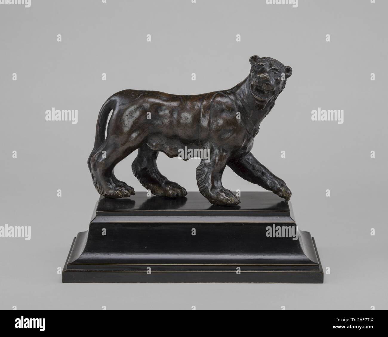 Pacing Female Panther; mid 16th century Central or North Italian 16th ...