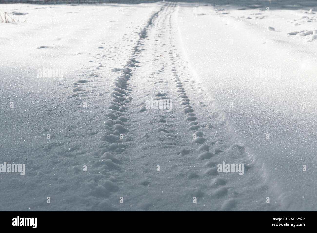 Tracks in snow Stock Photo - Alamy